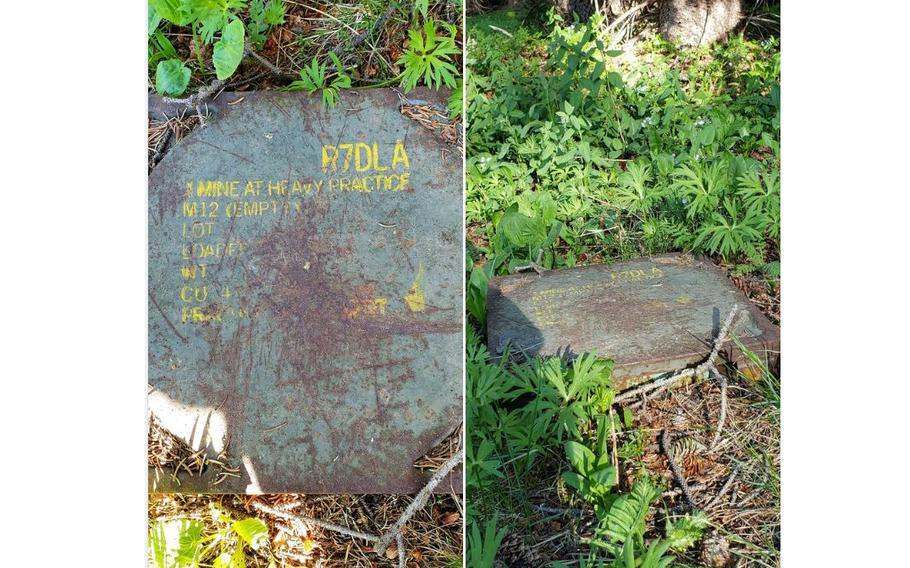 Colorado Hiker Finds Antitank Mine In National Forest - ORDNANCE - U.S ...