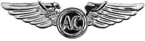 WING ID - Civil Air Patrol wing - WING BADGES - U.S. Militaria Forum