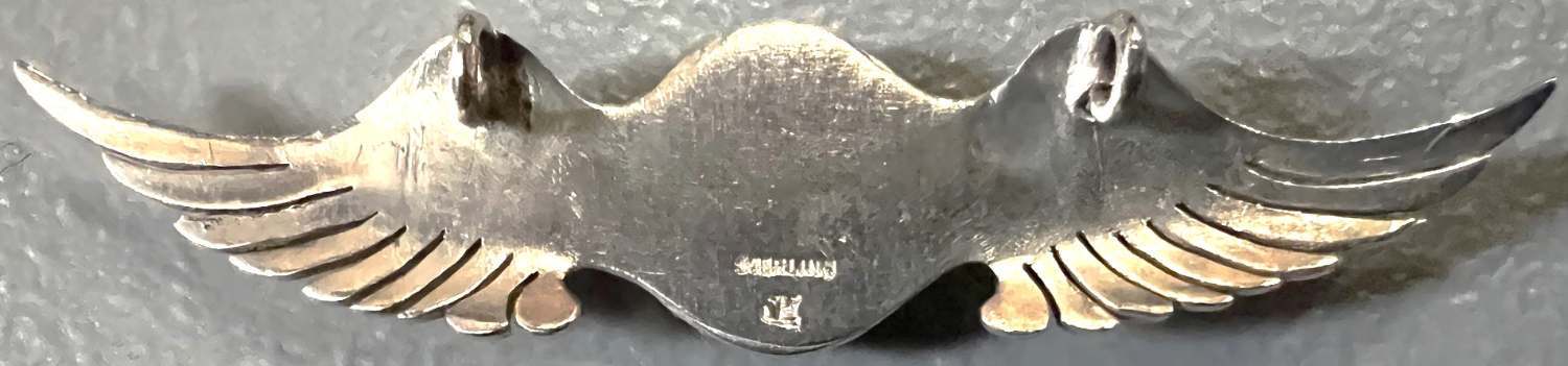 FAKE!, Fantasy & Reproduction Wing Examples - Page 14 - WING BADGES - U ...