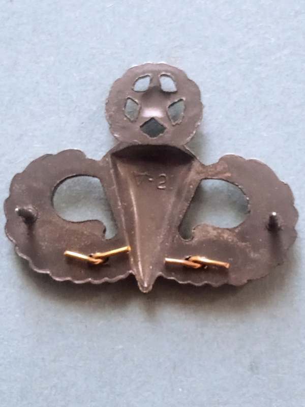 V21 (Vanguard) wings with 2x combat jump stars - AIRBORNE, GLIDER ...