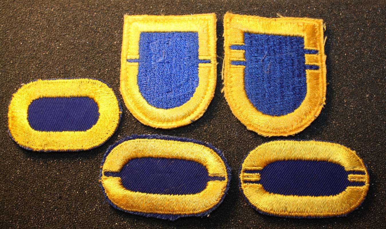 V21 (Vanguard) wings with 2x combat jump stars - AIRBORNE, GLIDER ...
