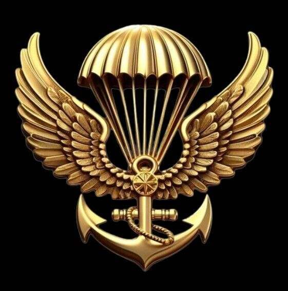 Did the USN just adopt a new rigger wing? - AIRBORNE, GLIDER TROOPS ...