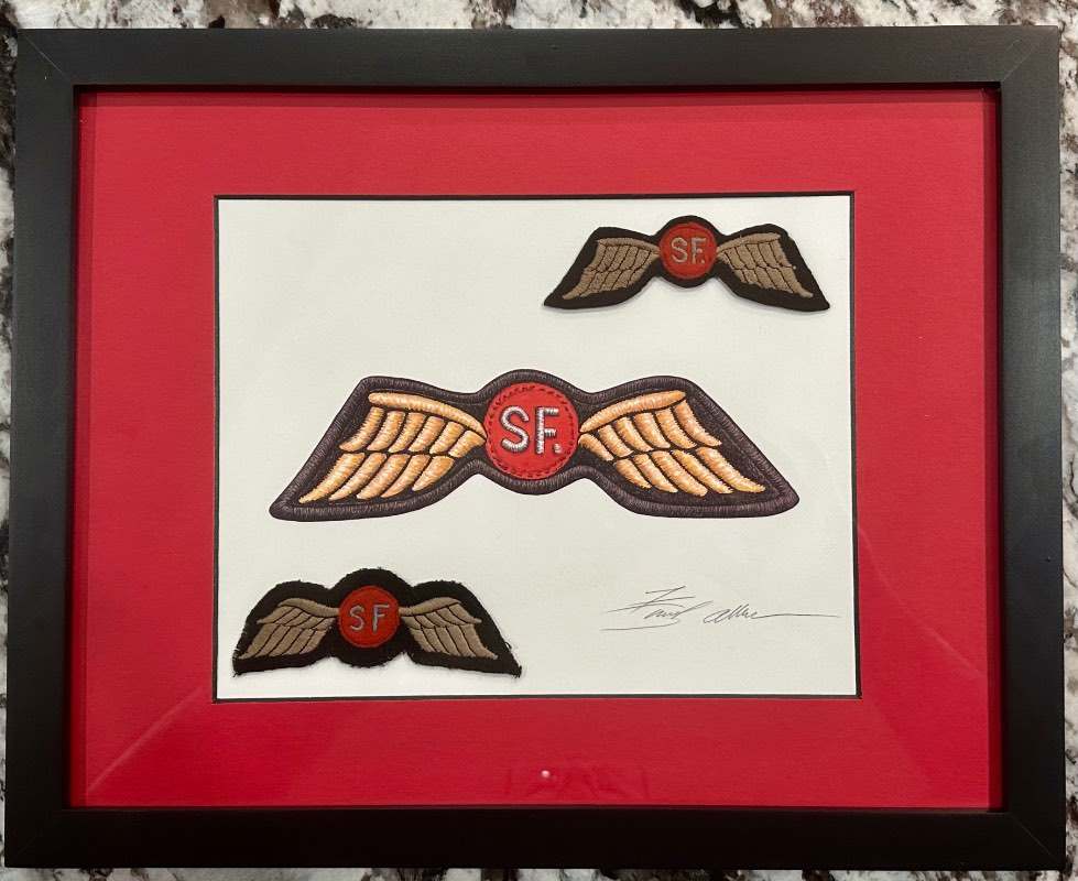 Jedburgh wing display - ARMY AND USAAF - U.S. Militaria Forum