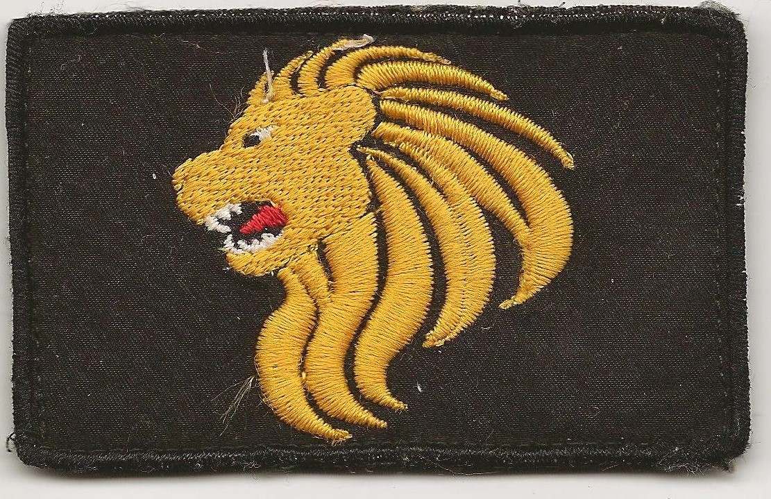 Iraqi made 58th Brigade SSI - ARMY AND USAAF - U.S. Militaria Forum