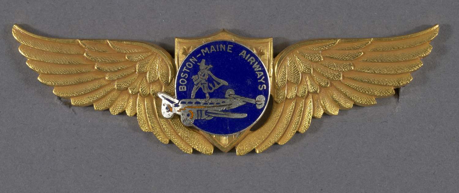 Weird Robbins like WW1 wing - WING BADGES - U.S. Militaria Forum