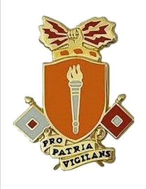 Patches in action: Photos of SSI being worn by the troops. - Page 272 ...