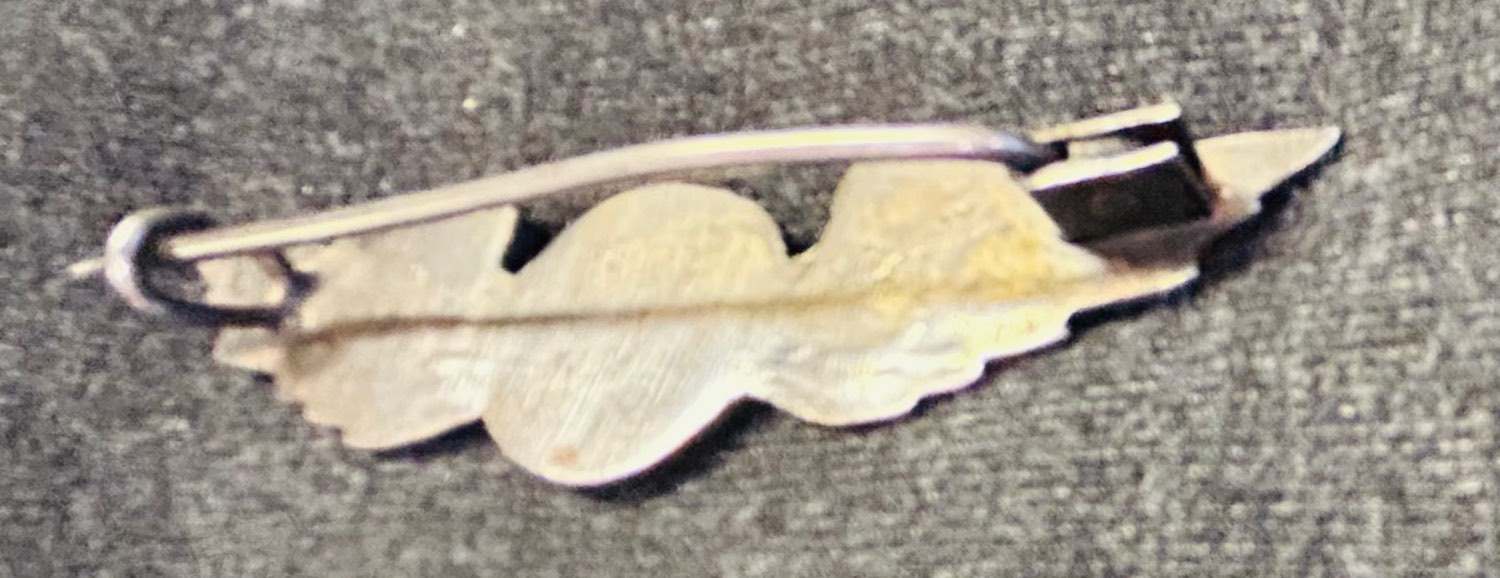 CBI Wings - WING BADGES - U.S. Militaria Forum