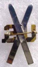 WW2 Mountain Troop (Ski Troop) Pins & Badges - BADGES, AWARDS, DUI, AND ...
