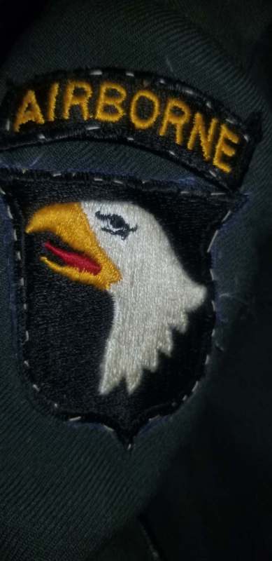 Help with 101st AB patch - ARMY AND USAAF - U.S. Militaria Forum