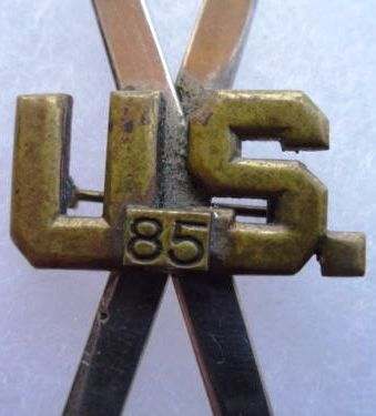 WW2 Mountain Troop (Ski Troop) Pins & Badges - BADGES, AWARDS, DUI, AND ...