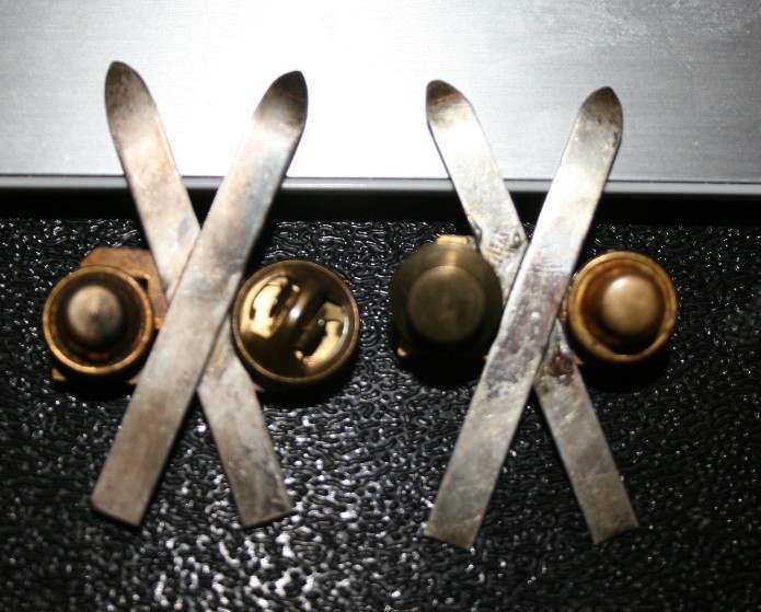 WW2 Mountain Troop (Ski Troop) Pins & Badges - BADGES, AWARDS, DUI, AND ...