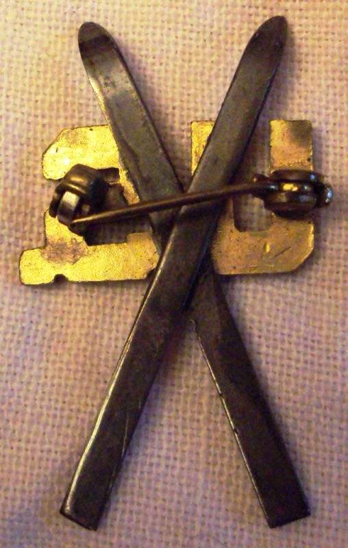WW2 Mountain Troop (Ski Troop) Pins & Badges - BADGES, AWARDS, DUI, AND ...