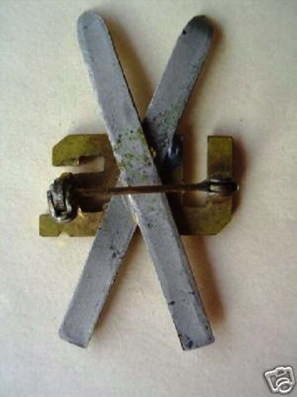 WW2 Mountain Troop (Ski Troop) Pins & Badges - BADGES, AWARDS, DUI, AND ...