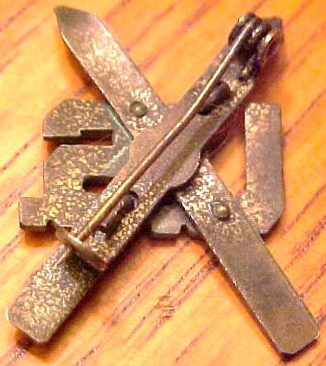 WW2 Mountain Troop (Ski Troop) Pins & Badges - BADGES, AWARDS, DUI, AND ...