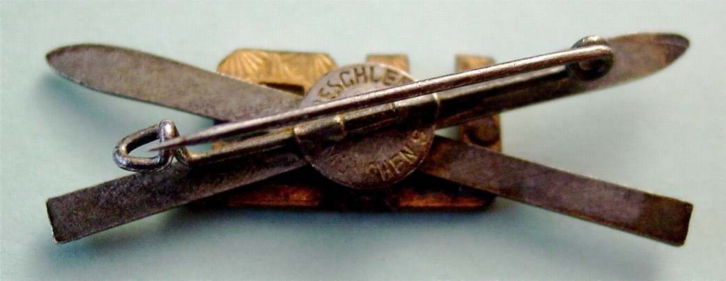 WW2 Mountain Troop (Ski Troop) Pins & Badges - BADGES, AWARDS, DUI, AND ...