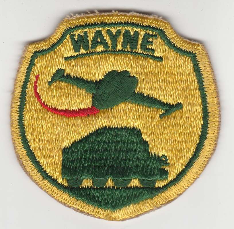 Unknown WAYNE patch, possibly defense contractor? - CAN YOU IDENTIFY ...