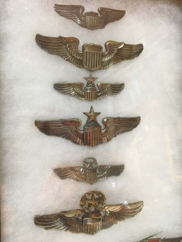 Complete Set Of Wings…..From Start To Finish - WING BADGES - U.S ...