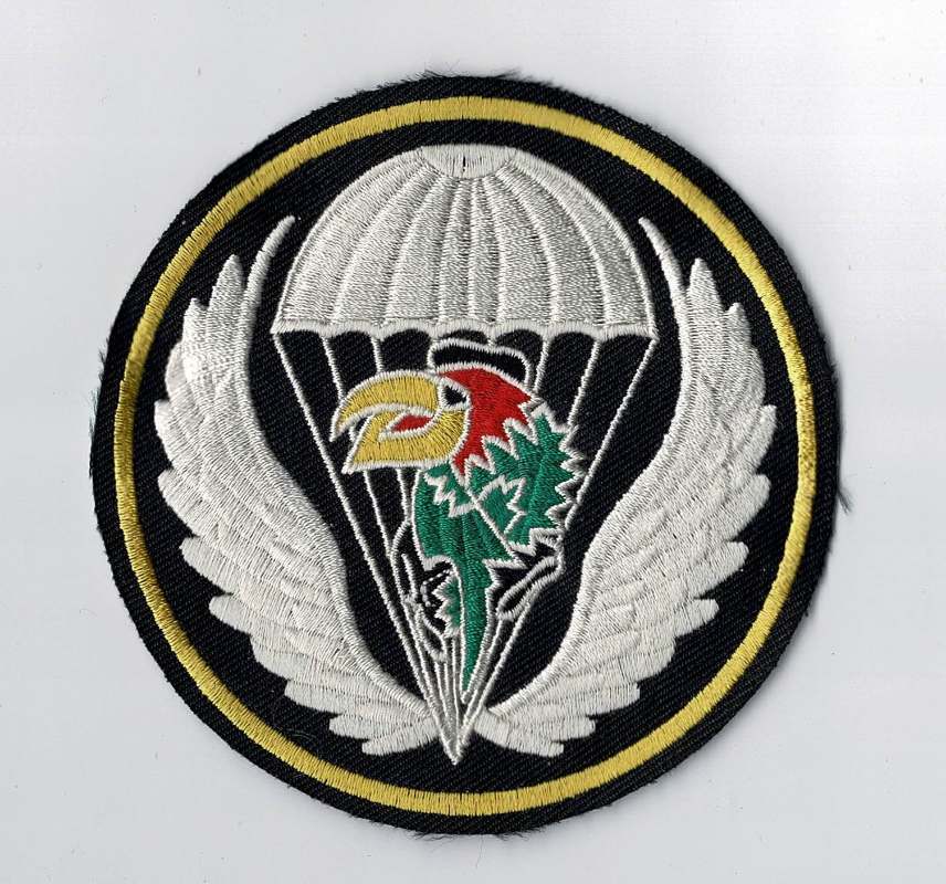 Does this LRRP patch look legit? - ARMY AND USAAF - U.S. Militaria Forum