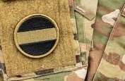 FORSCOM Subdued Patch - ARMY AND USAAF - U.S. Militaria Forum