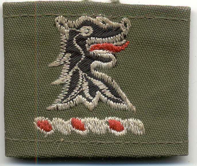 Cloth & bullion DI's and combat leader loops with DI's - Page 4 ...