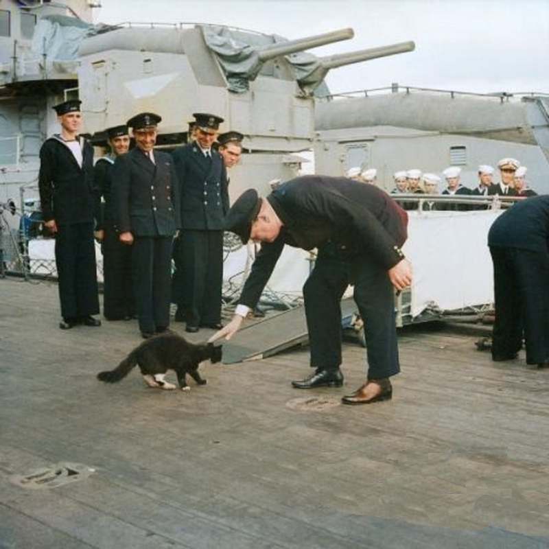 Pretty in (Mountbatten) Pink in 1942, USS Winslow (DD-359), So ...
