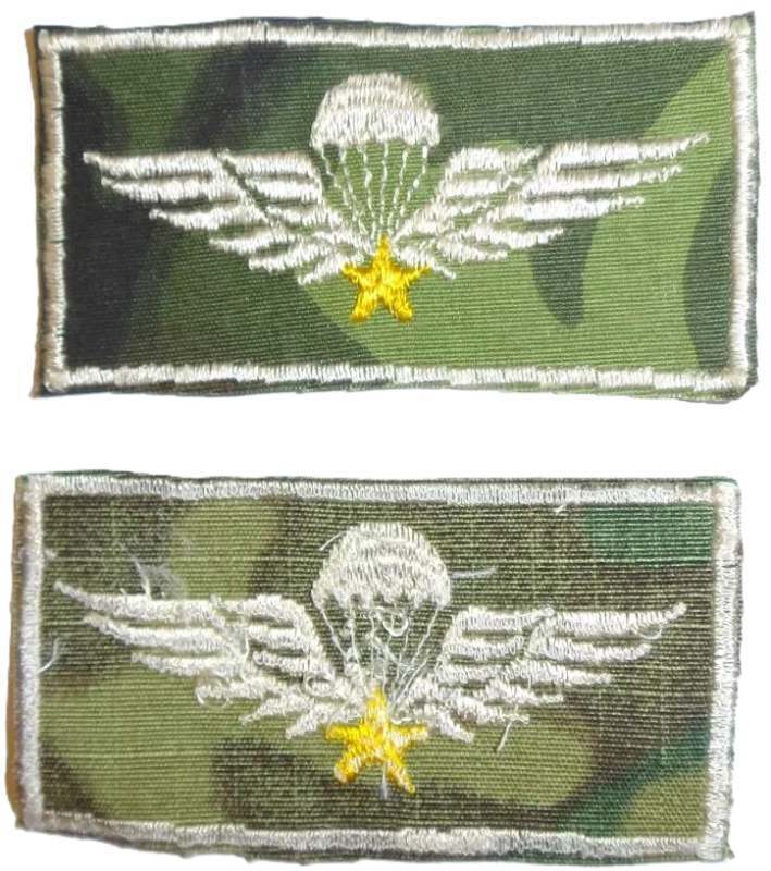 ARVN Jump Wings - AIRBORNE, GLIDER TROOPS, PARATROOP JUMP WINGS AND ...