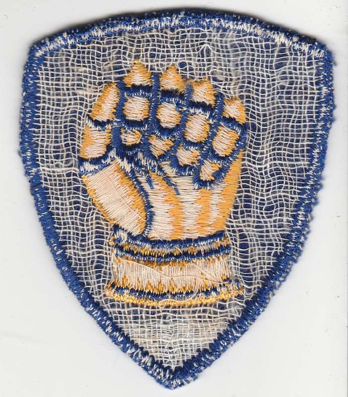 46th Infantry Division variation - ARMY AND USAAF - U.S. Militaria Forum