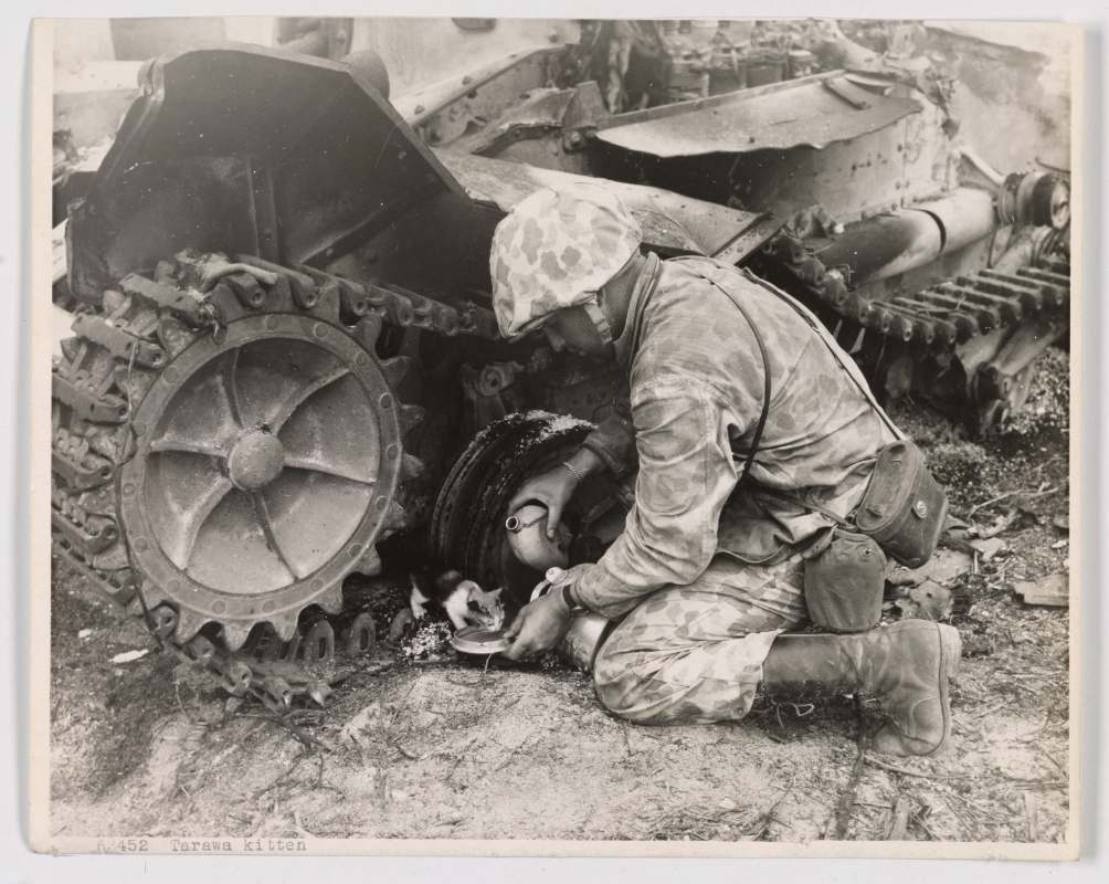 USMC WWII "Frogskin" Covers - Rethinking The Norm - Page 17 - M-1; M-1C ...