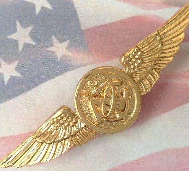 Astronaut aircrew navy wings - NAVY, MARINE CORPS, COAST GUARD - U.S ...