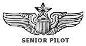 New Senior Pilot Wings - WING BADGES - U.S. Militaria Forum