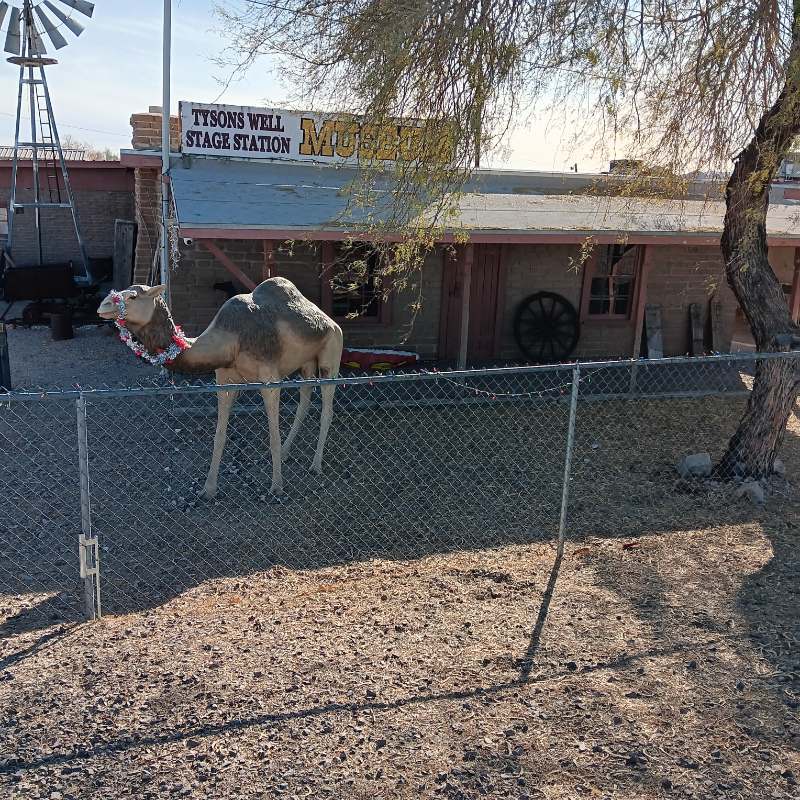 Fort Tyson AZ, - BASES, AIRFIELDS, FACILITIES, AND INDUSTRIAL SITES - U ...