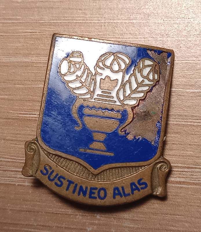 WW2 Sustineo Alas Army Air Corp Technical Training Command DUI with ...