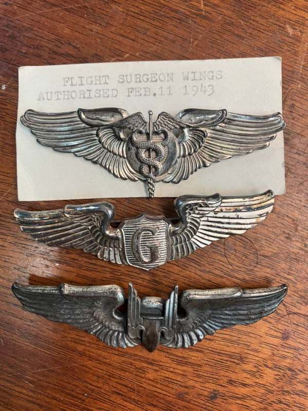 2025 SOS Wing Finds - WING BADGES - U.S. Militaria Forum