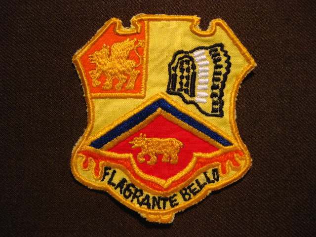 Question on "Pocket Patch" !!? - ARMY AND USAAF - U.S. Militaria Forum