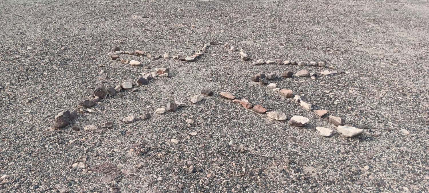 WW2 Company G 49th Armored Division "Lone Star State" trained in ...