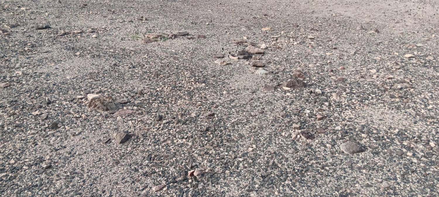 WW2 Company G 49th Armored Division "Lone Star State" trained in ...