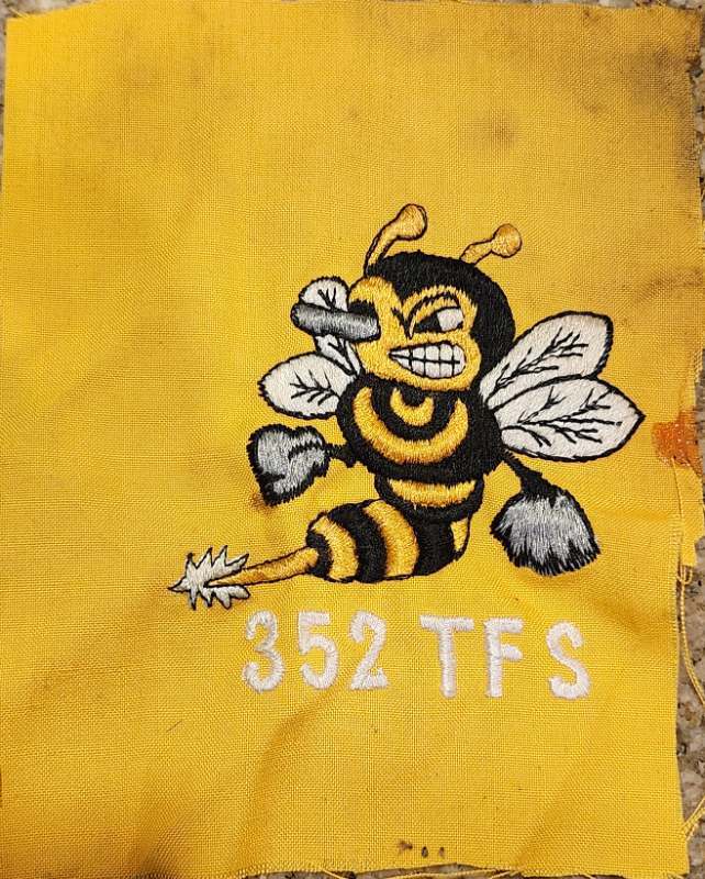 Help with 352nd Tactical Fighter Squadron "Patch" - CAN YOU IDENTIFY ...