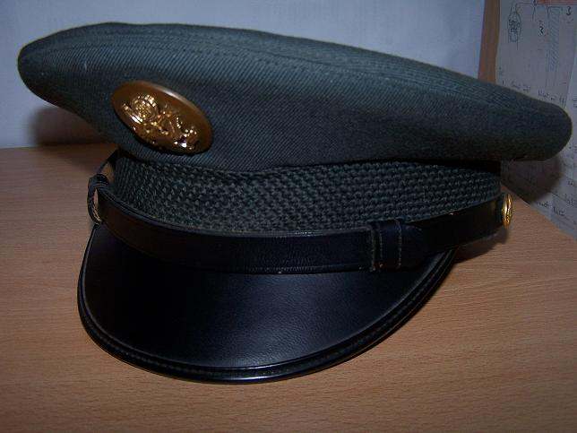 Service Cap - UNIFORMS - U.S. Militaria Forum