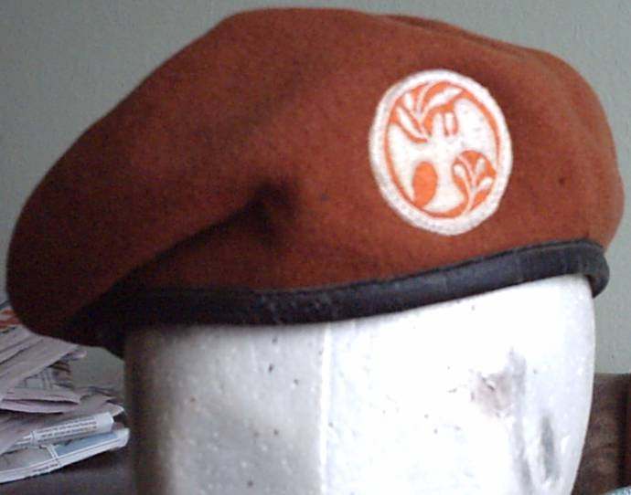 Multinational Force and Observers uniform - CAMOUFLAGE UNIFORMS - U.S ...