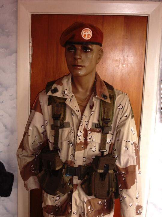 Multinational Force and Observers uniform - CAMOUFLAGE UNIFORMS - U.S ...