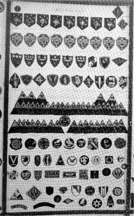 LIFE MAG INSIGNIA ISSUE - ARMY AND USAAF - U.S. Militaria Forum