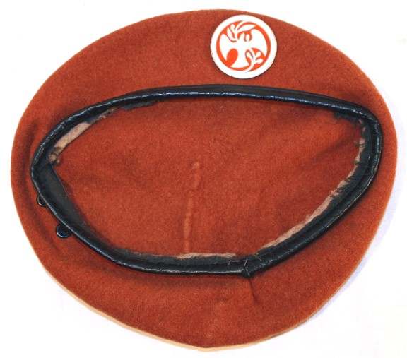 Multinational Force and Observers uniform - CAMOUFLAGE UNIFORMS - U.S ...