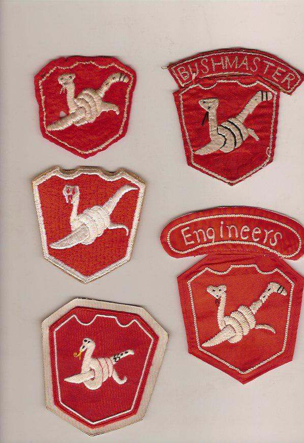 Bushmaster 158th rct - ARMY AND USAAF - U.S. Militaria Forum