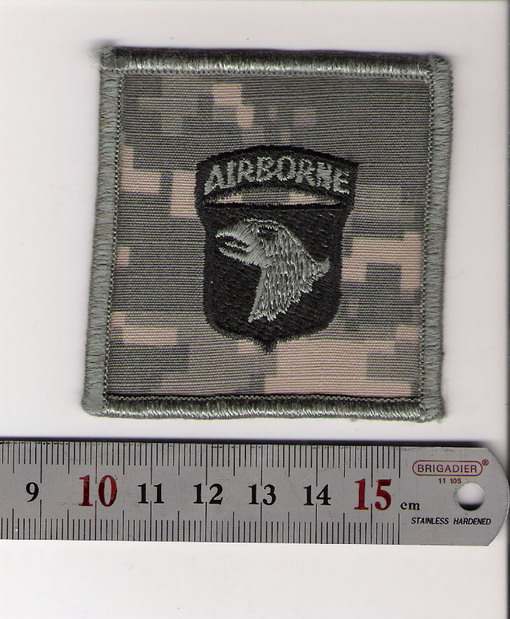 101st Patch - ARMY AND USAAF - U.S. Militaria Forum