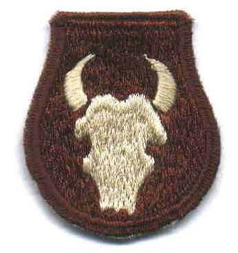 Cut Edge Desert Patches - ARMY AND USAAF - U.S. Militaria Forum